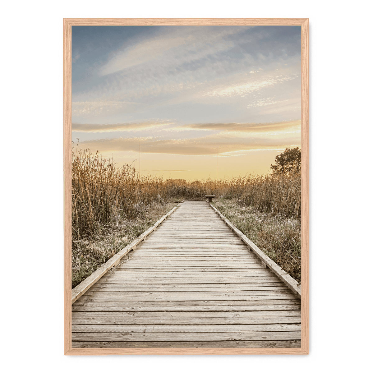 Pathway poster | Postera.nl